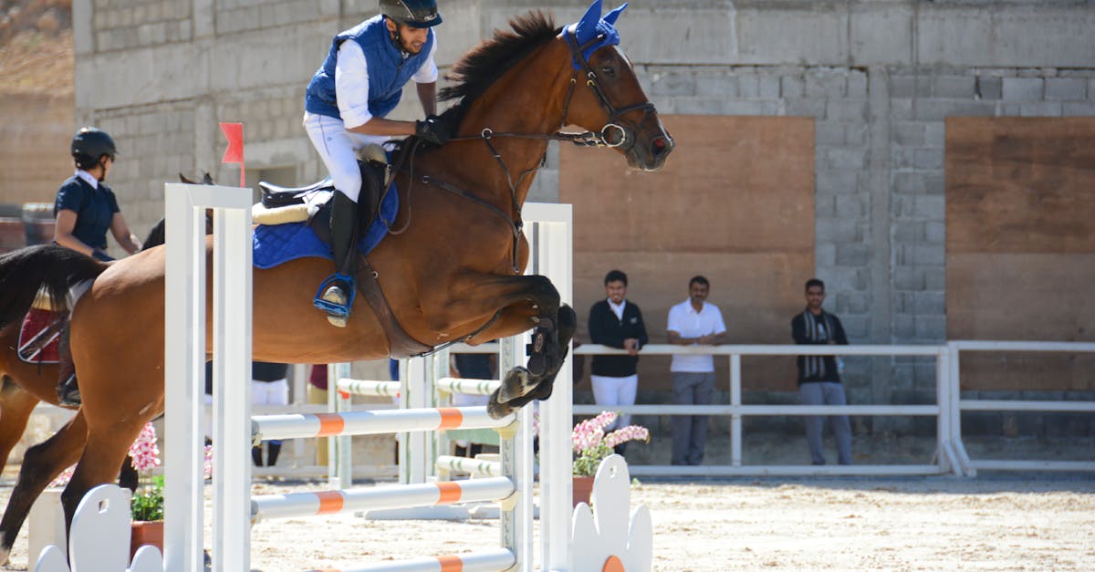 L'exercice idéal entre deux compétitions de saut d'obstacles