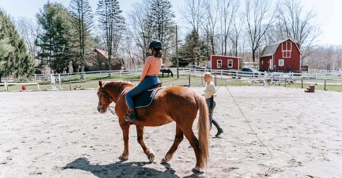 Entraîner un cheval en surpoids sans solliciter ses articulations ...